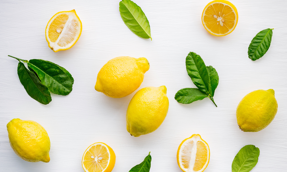 Honey Lush Lip Balm – APIRA